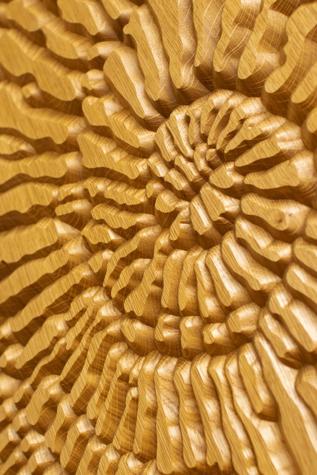 Nautilus panel – Navdesign 3D wooden wall panels